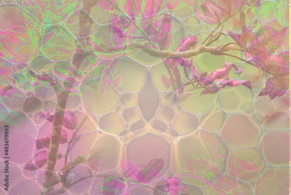 Surreal dreamy plant mood scape vision of ethereal colors and smoky ...