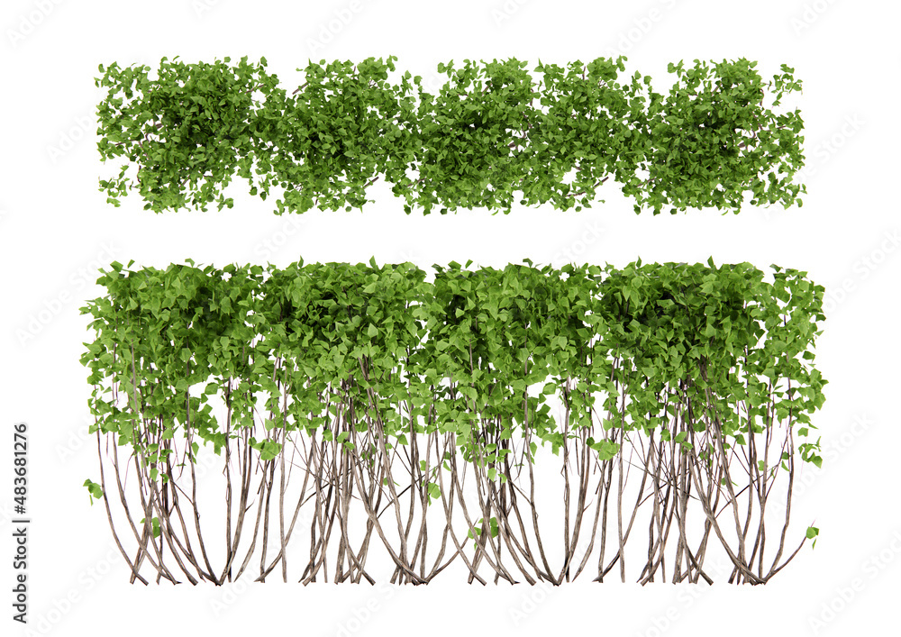 Isometric shrub plant 3d rendering Stock Photo | Adobe Stock