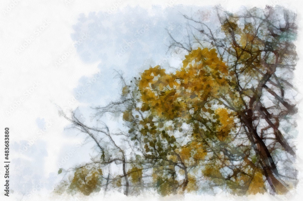 Ratchaphruek tree with a large bunch of yellow flowers. watercolor ...