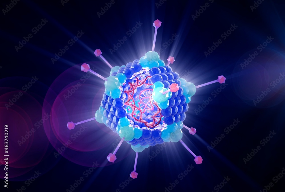 Virus, Adenovirus structure, icosahedral capsid with hexon proteins ...