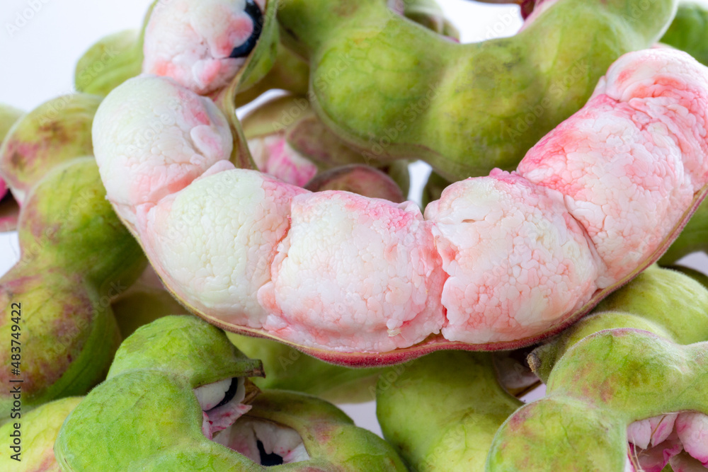 Manila tamarind fruit. Manila tamarind (Pithecellobium dulce) on white ...
