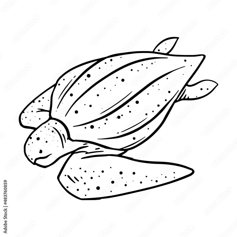 Leatherback sea turtle hand drawn vector illustration. Stock Vector ...