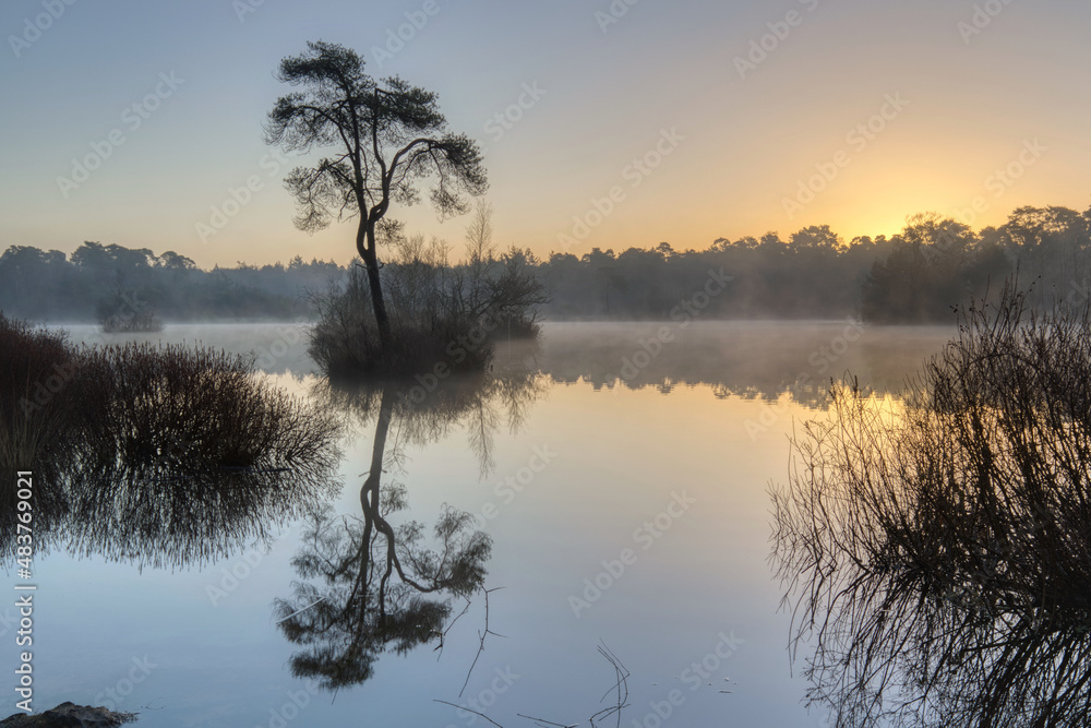 Horizontal view on a tree on a little island in lake Groot Goorven in ...