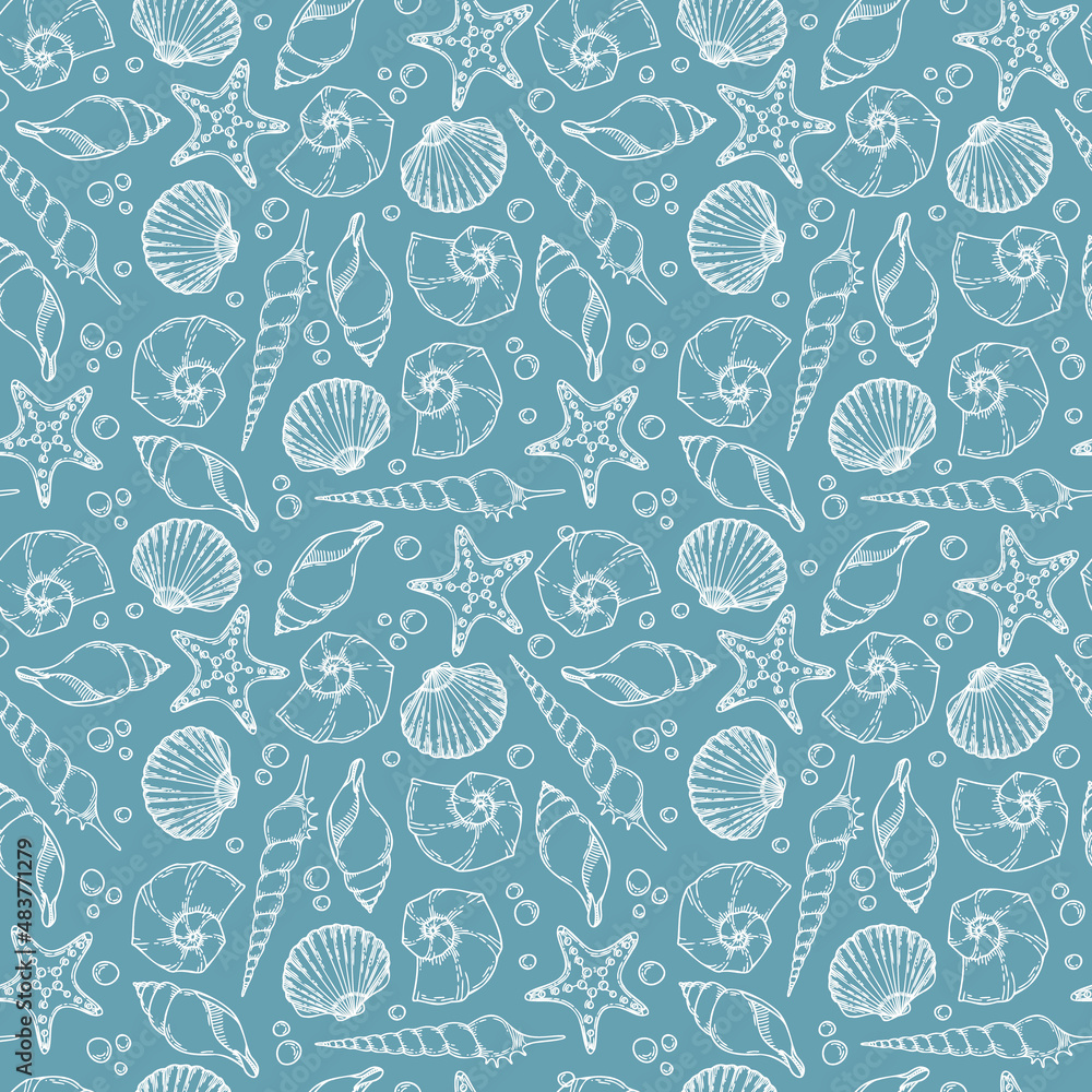 Vector Pattern with Sea Shells on light blue Background. Hand drawn ...