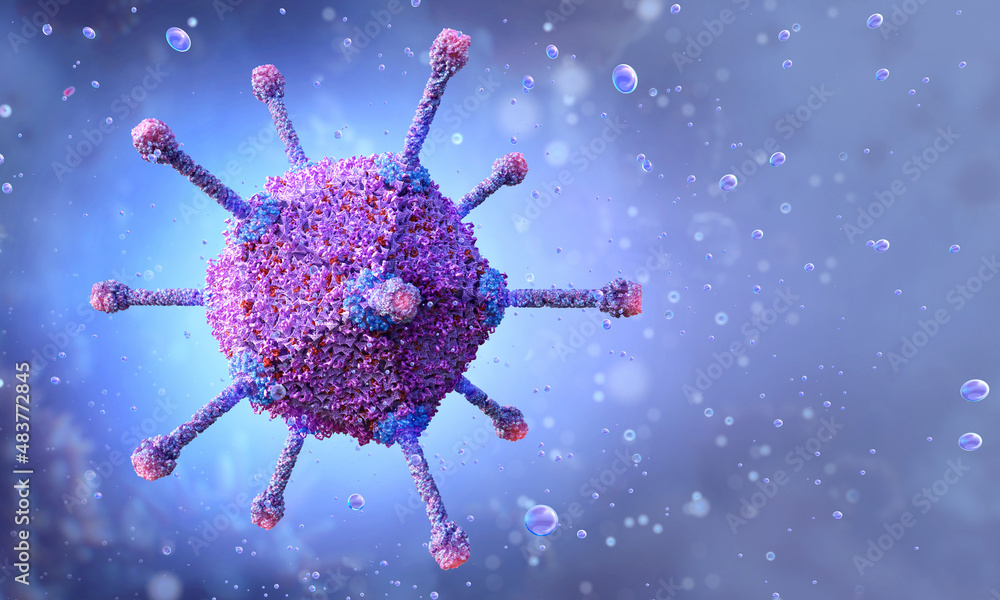 Human adenovirus model. Structure of the adenoviridae virion: penton ...