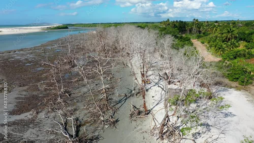 Jericoacoara Ceara Brazil. Aerial landscape of tropical beach scenery ...