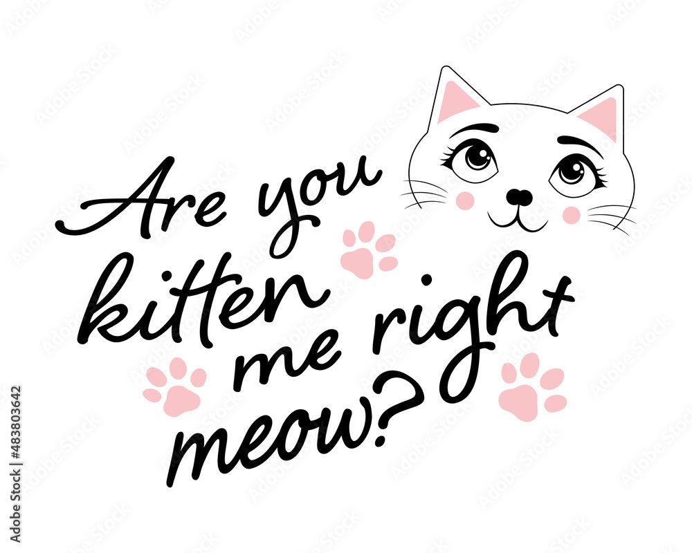 Are you kitten me right meow? Cat with paw icons and text on a white ...