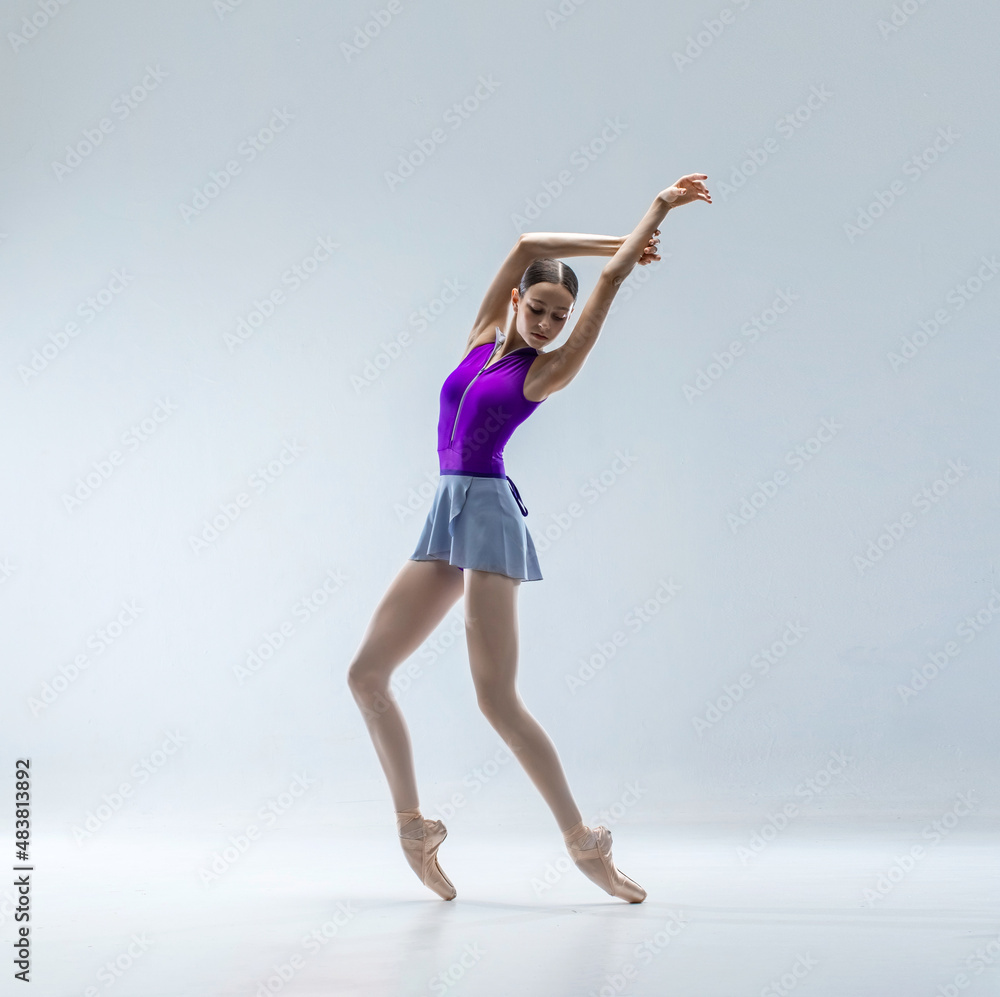 Violet Ballet Pointe Shoes