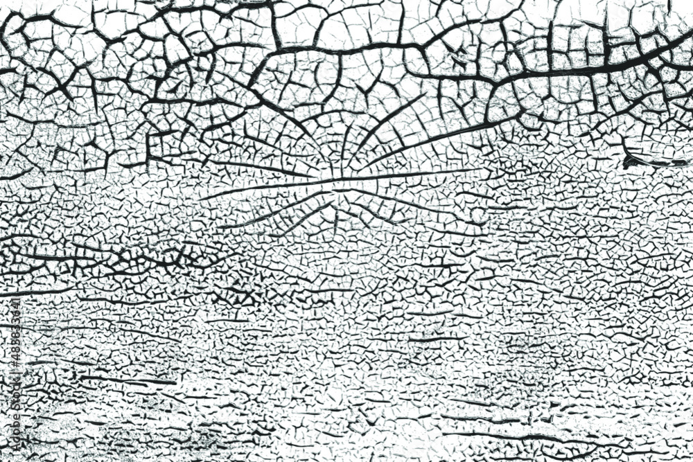 Vector black and white grunge pattern made from natural oil paint ...