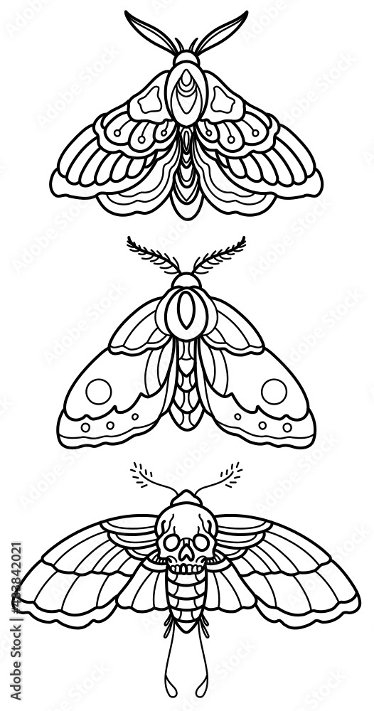 3 Moth Insects Tattoo Style Editable Outline line art SVG Stock Vector ...
