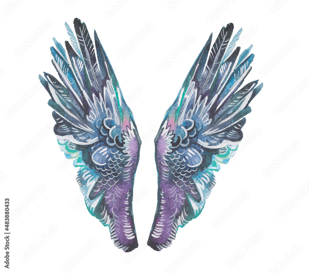 Watercolor drawing angel wings. Set of clipart bird wing in different ...