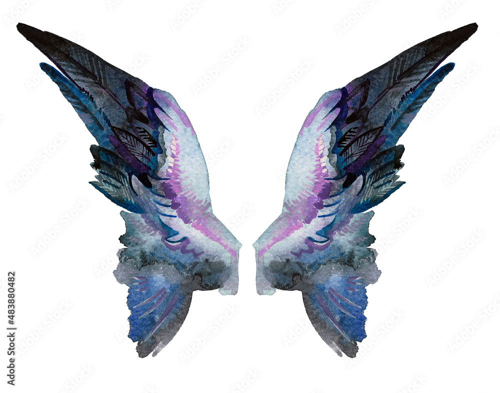 Watercolor drawing angel wings. Set of clipart bird wing in different ...