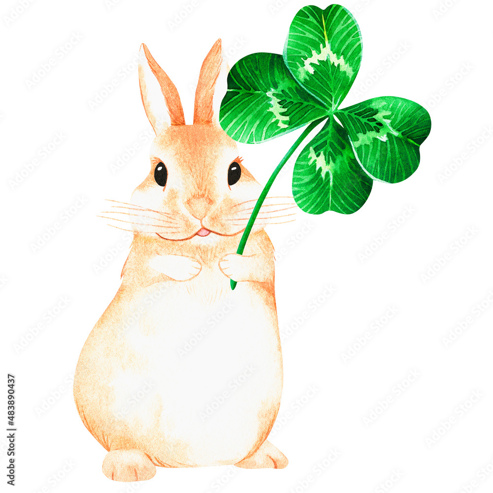 Rabbit with a four leaf clover. Watercolor illustration. Isolated on a ...
