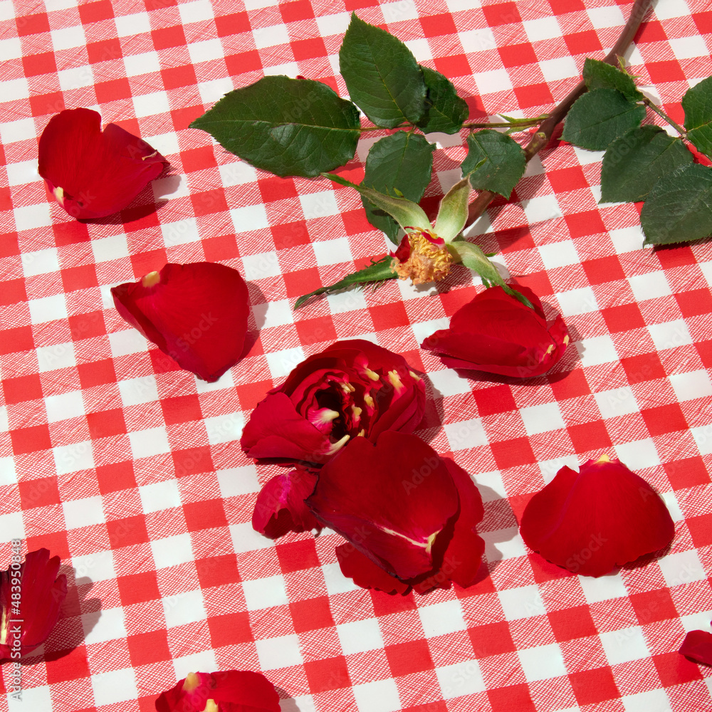 Bright red rose torn petals aginst plaid background. 80s, 90s retro ...