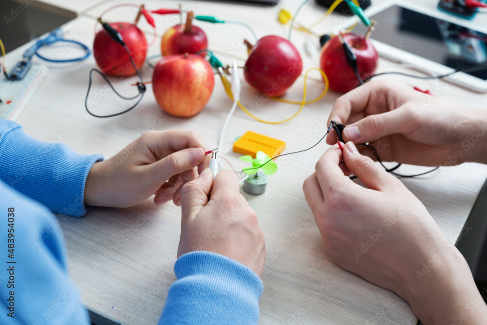 Foto de School experiment with apples. School students extract ...
