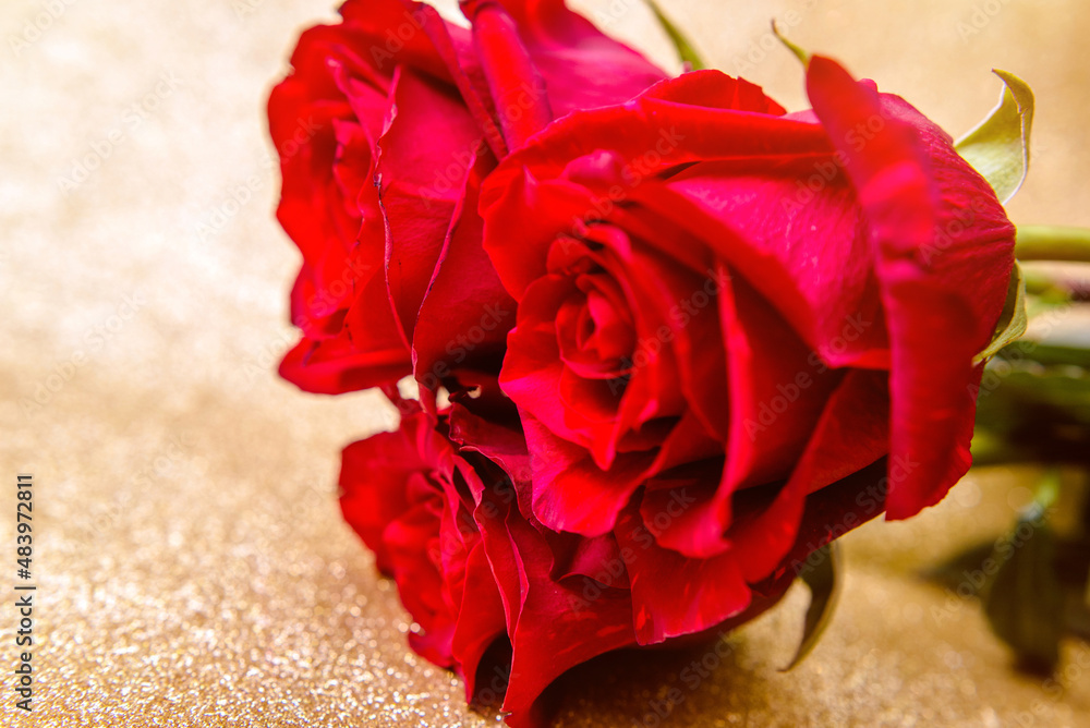 Red rose on a shiny gold background Stock Photo | Adobe Stock