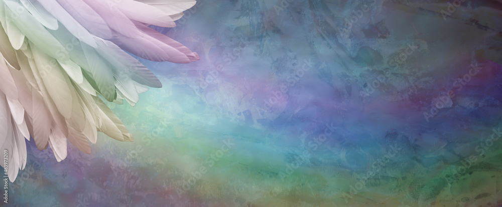 Rainbow feathers on rustic rainbow background banner - long thin pastel ...