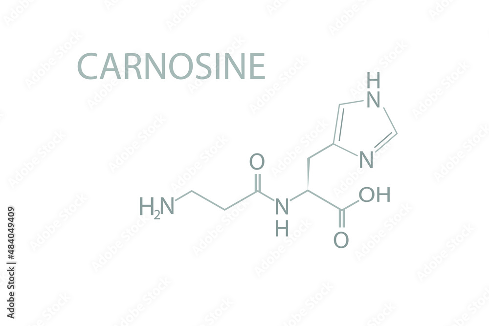 Carnosine molecular skeletal chemical formula. Stock Vector | Adobe Stock