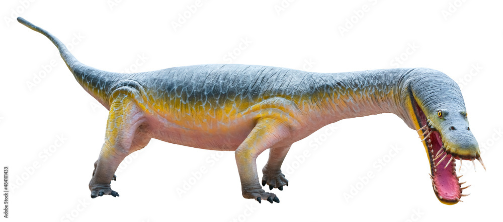 Nothosaurus is an extinct genus of sauropterygian reptile from the ...