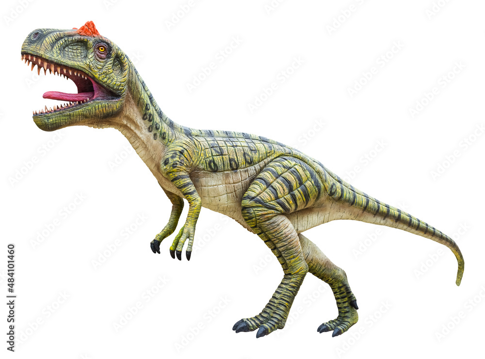 Eustreptospondylus is a carnivorous genus of a megalosaurid theropod ...