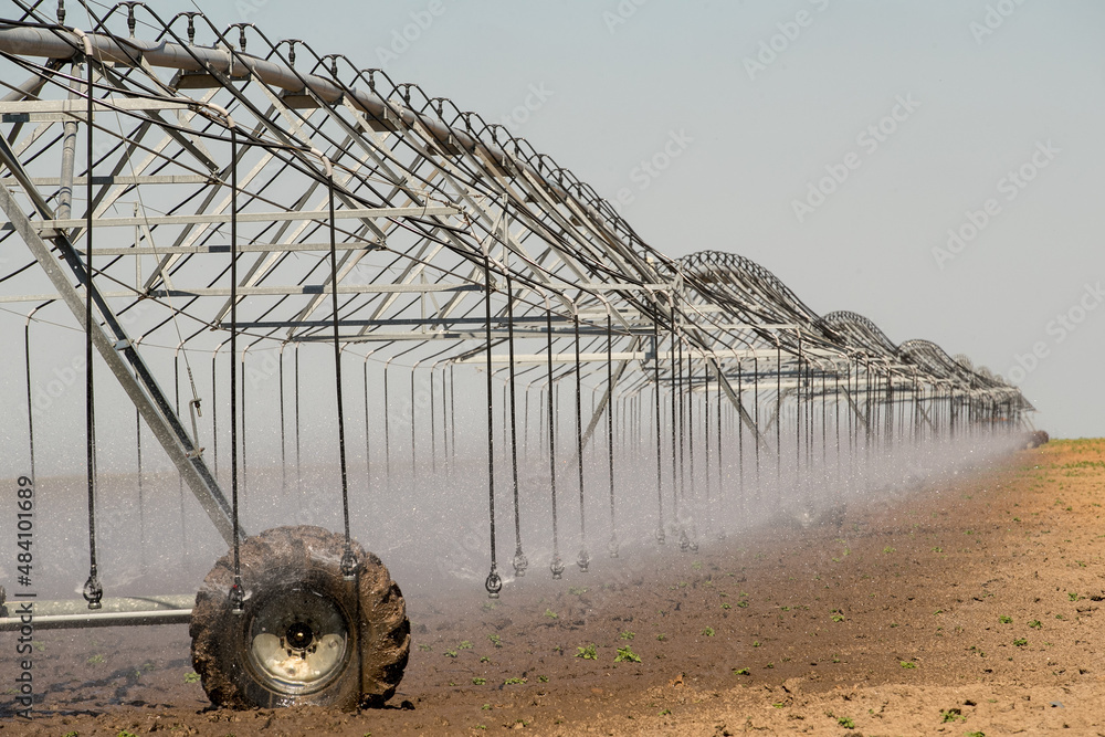 Irrigation improves the supply of plant roots with moisture and ...