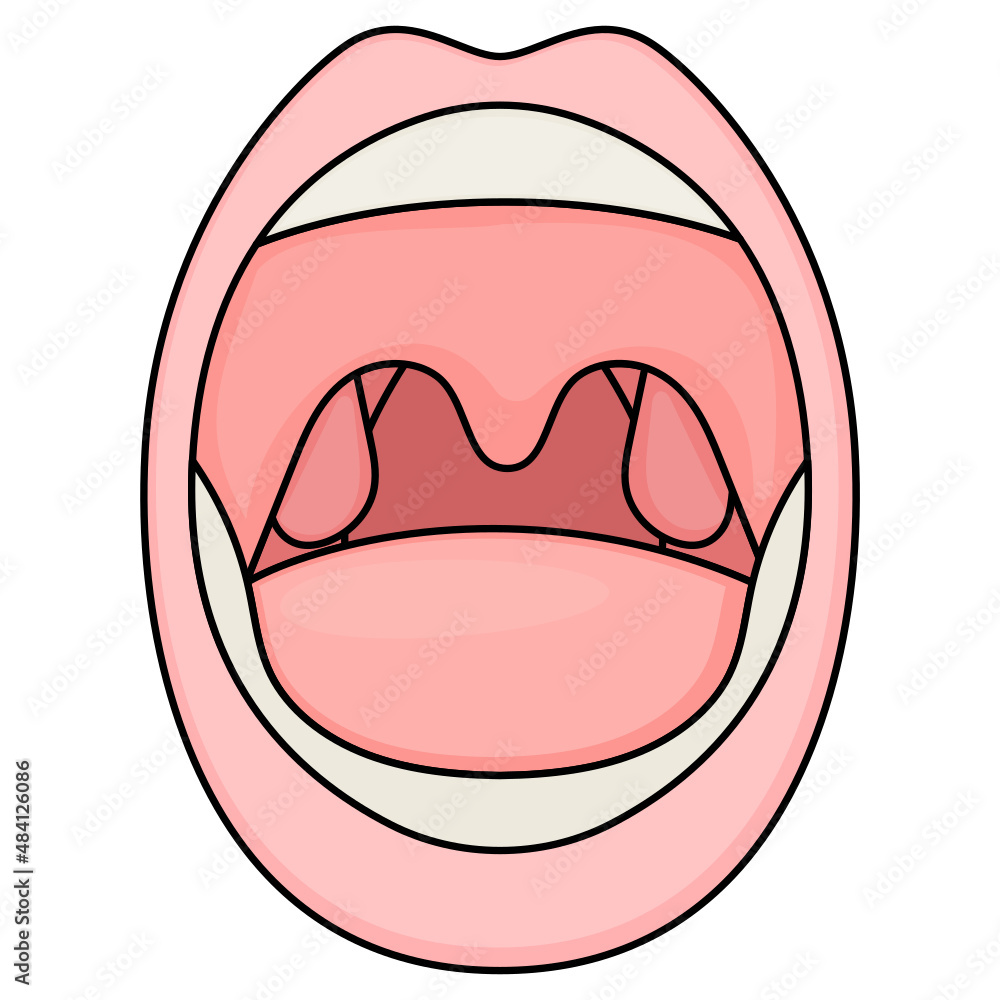 Throat and Tonsils Vector color Icon Design, Organ System Symbol, Human ...