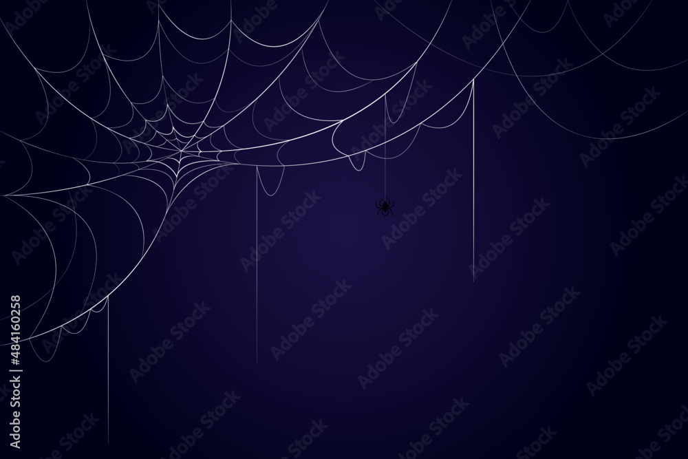 Spider and cobweb background. Halloween Stock Vector | Adobe Stock