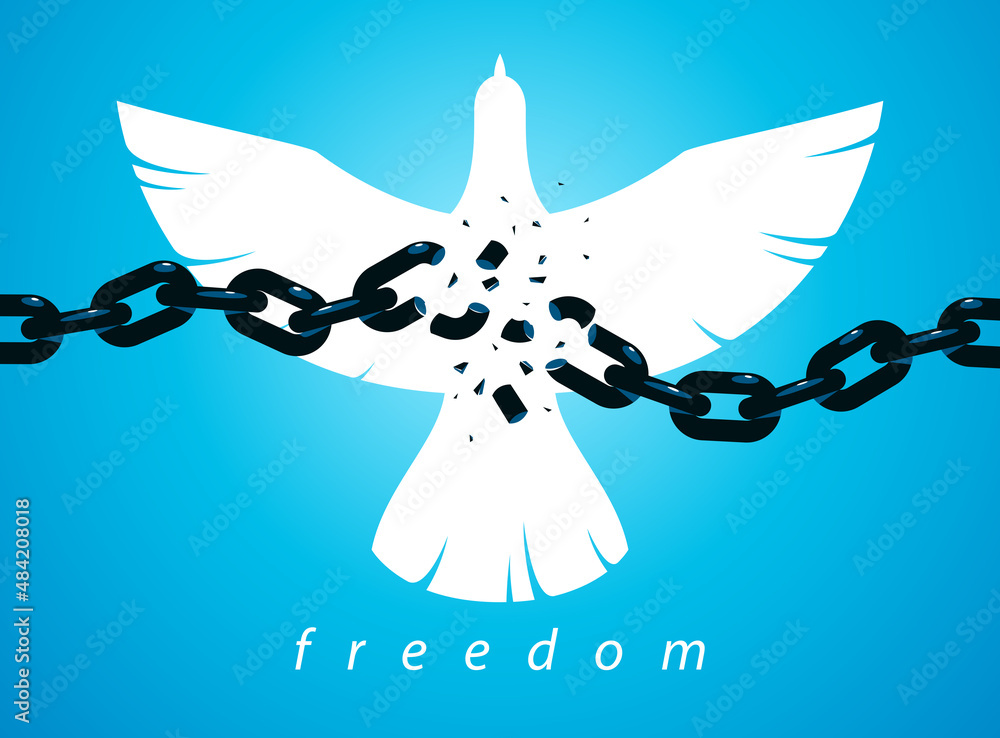Bird flying up into sky and broken chain in front freedom concept ...