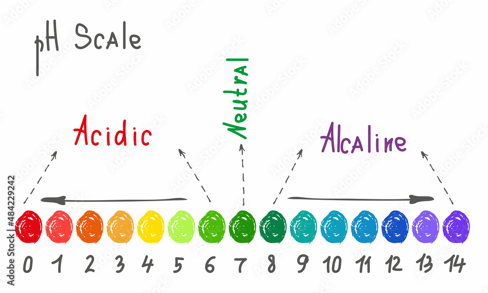 Horizontal pH scale for measuring acid alkaline balance. Chemical value ...