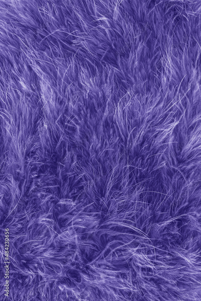 White fluffy feathers on blur background. New 2022 trending PANTONE 17 ...