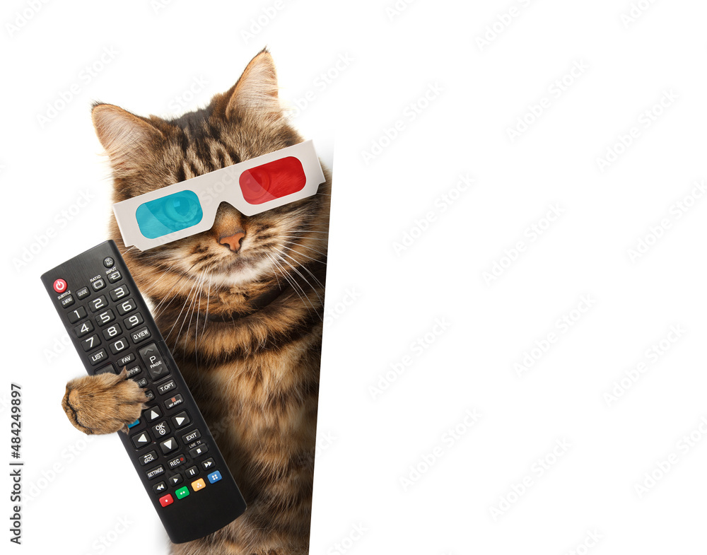 Funny cat with a remote control to TV. Stock Photo | Adobe Stock