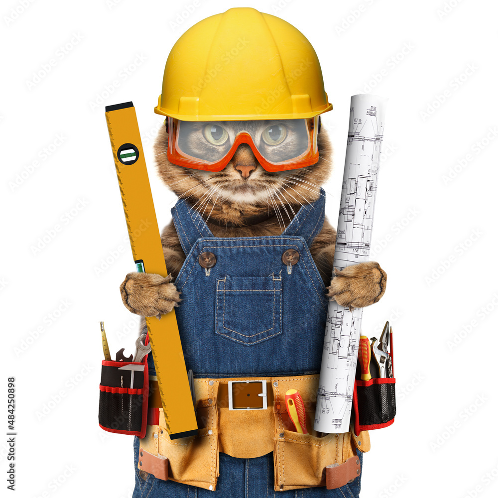 Funny cat is wearing a suit of builder. Craftsman on the white ...