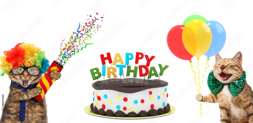 Happy Birthday Funny Cat Cake Happy Birthday Funny Kitten Cat Cake