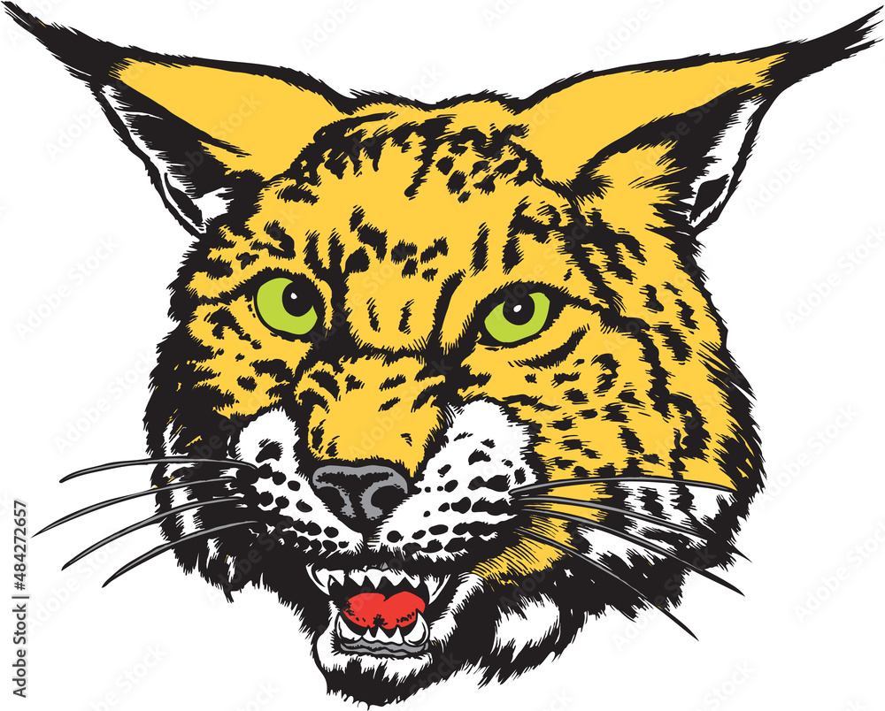 Bobcat Mascot Head Vector Illustration Stock Illustration | Adobe Stock