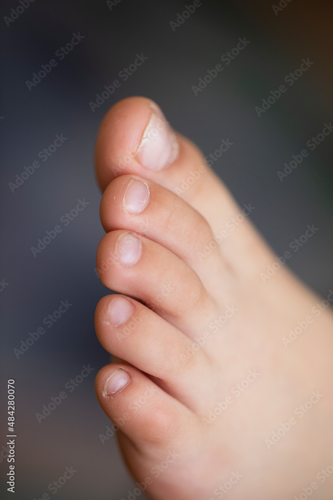 Kids legs. Kid. Legs. Stock Photo | Adobe Stock