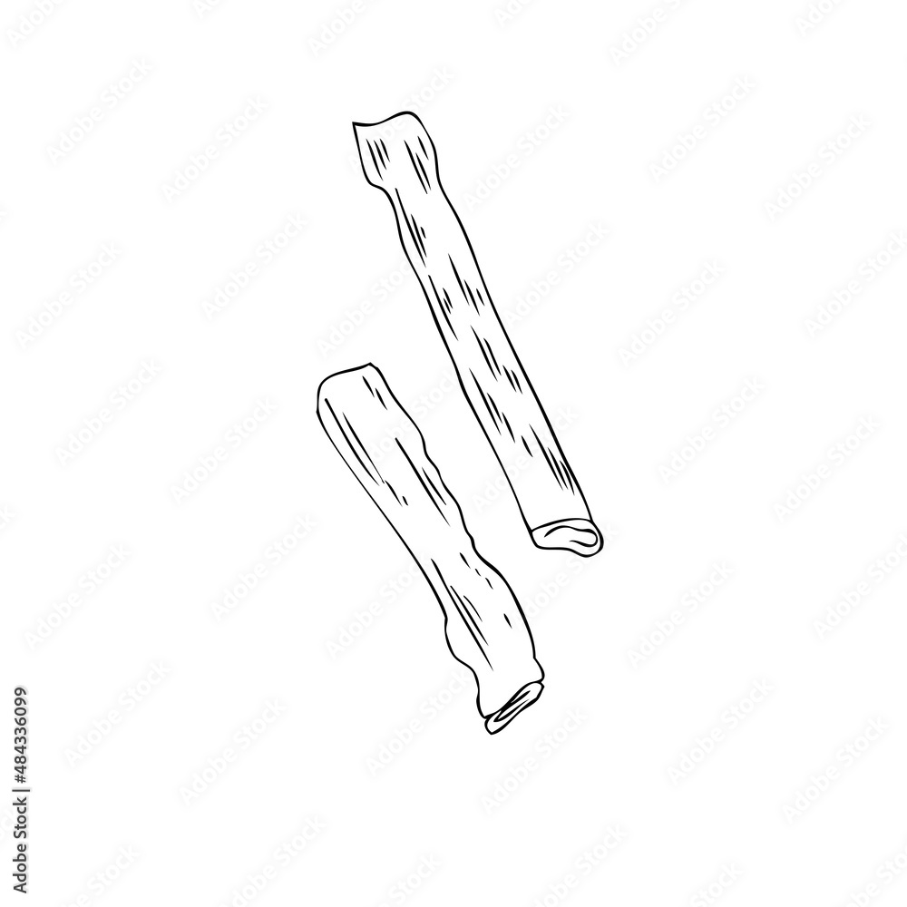Licorice sticks root vector hand drawn illustration isolated on white ...