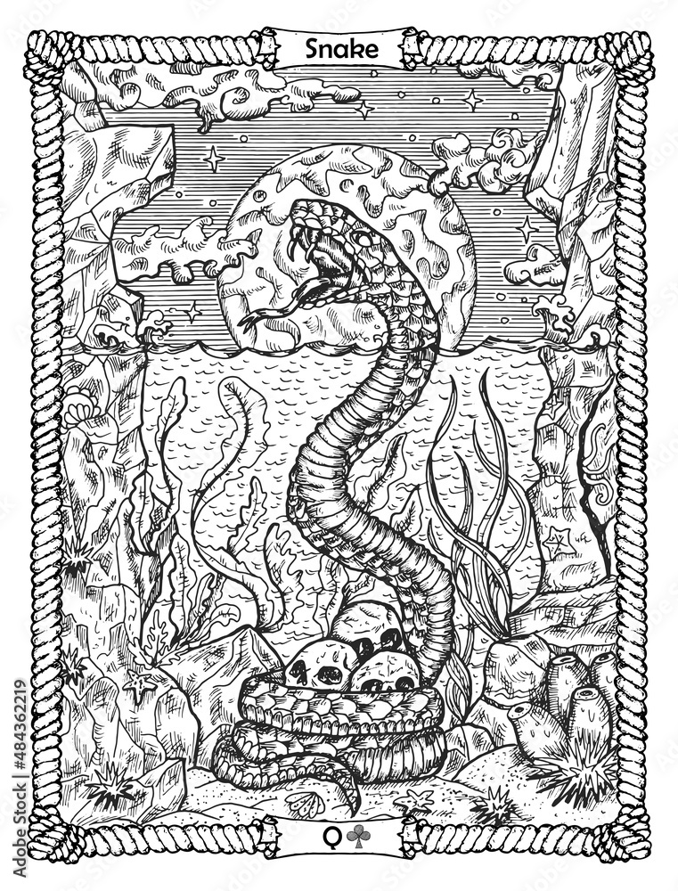 Snake card from the oracle Old Marine Lenormand deck with water reptile ...