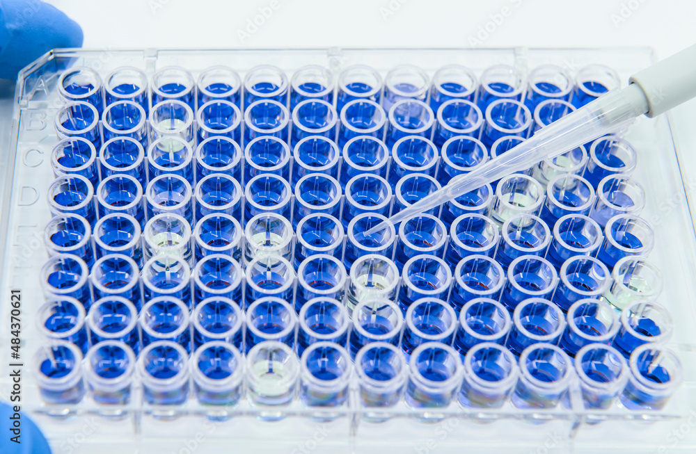 Cell viability assay by 96 well micro plate for Drug screening Stock ...