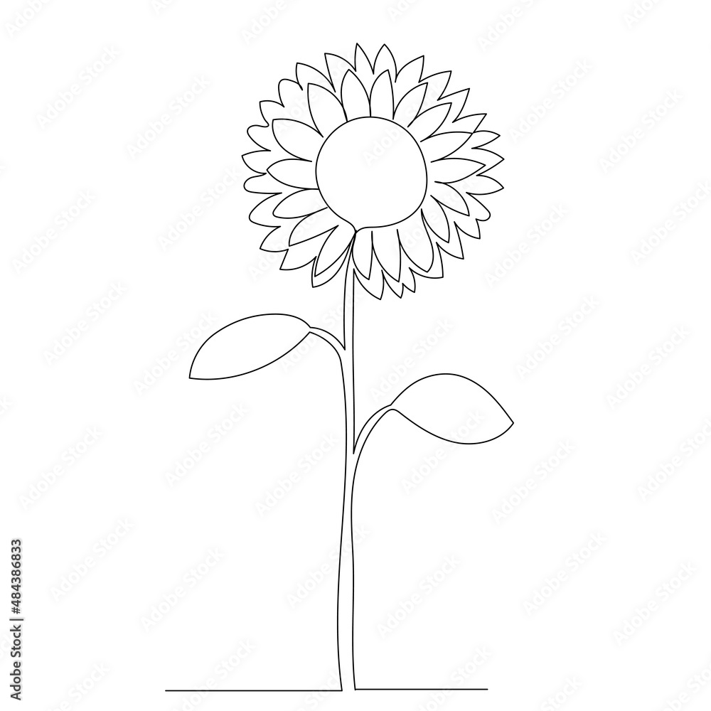 sunflower one line drawing, outline, vector, isolated Stock Vector ...
