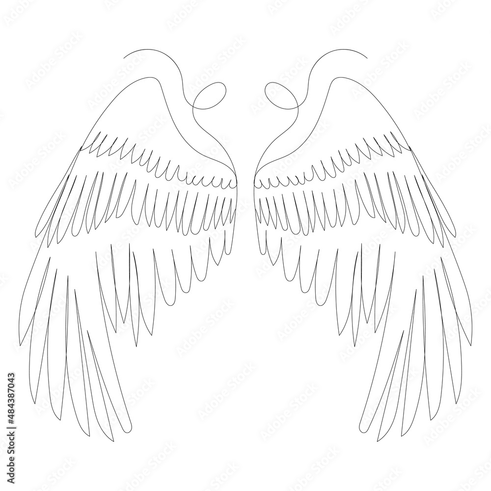 bird wings drawing in one line, contour, vector, isolated Stock Vector ...