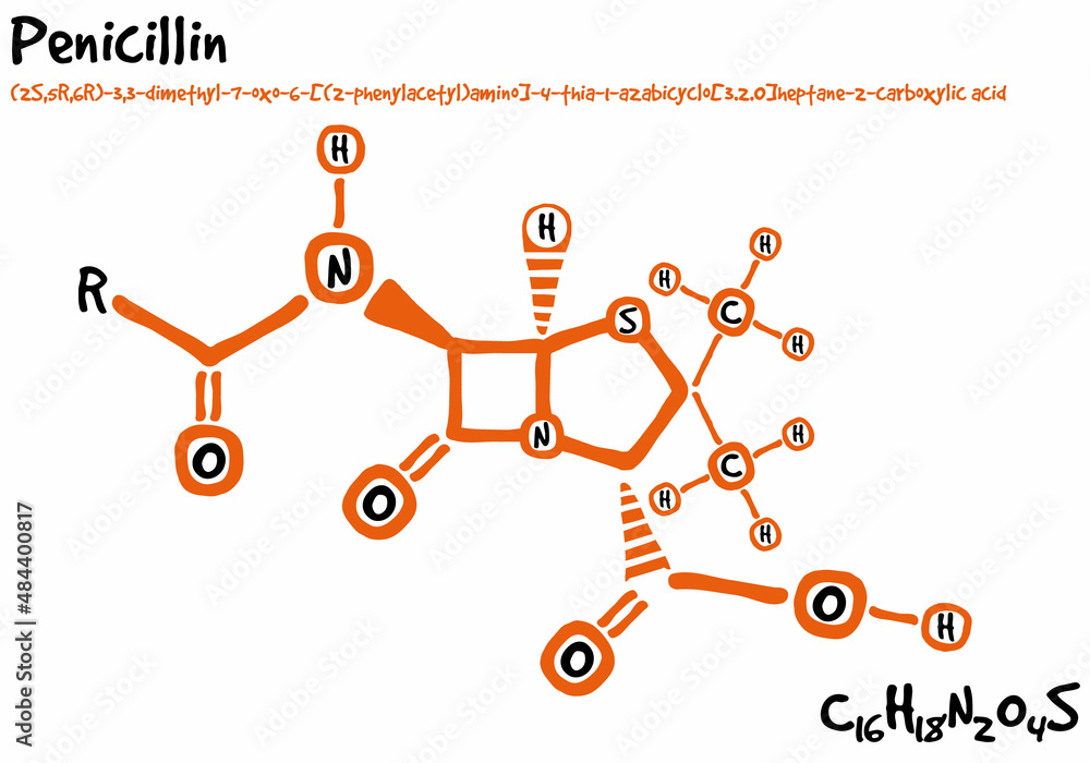 Large and detailed isolated drawn molecule and formular of Penicillin ...