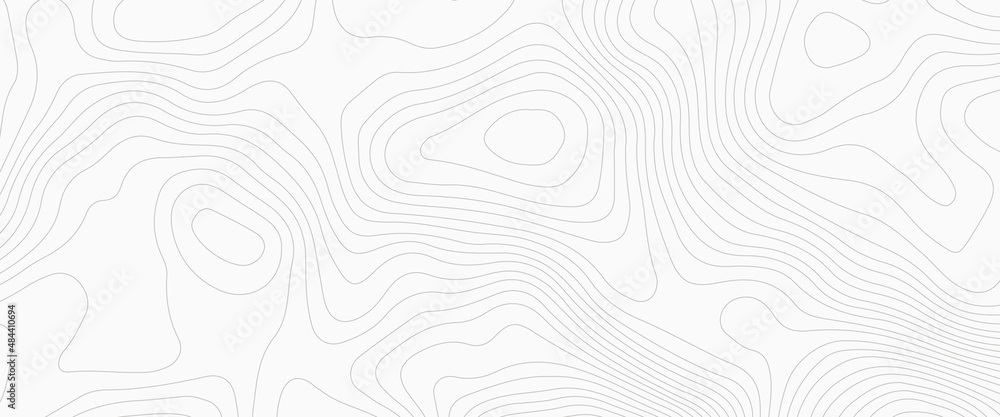 Background of the topographic map. Topographic map lines, contour ...