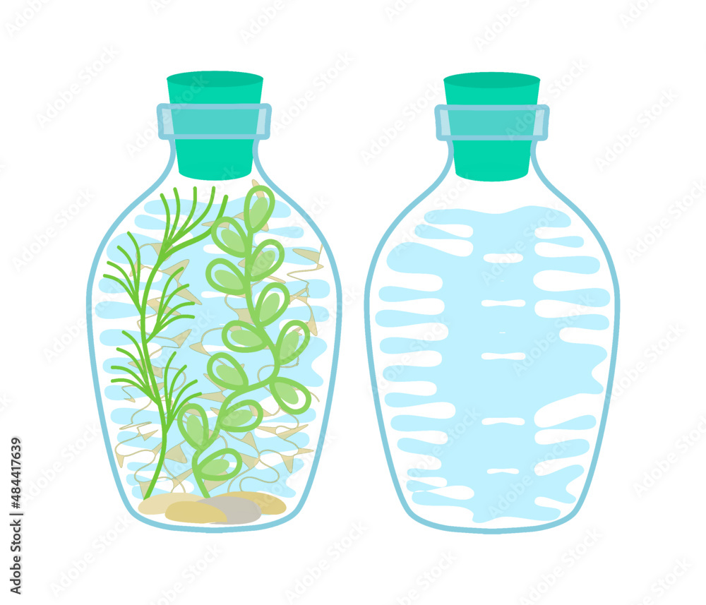 Jar with plants inside, empty jar, color illustration, on a white ...