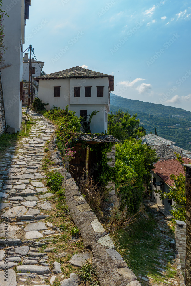 The picturesque village of Makrinitsa with its architectural ...