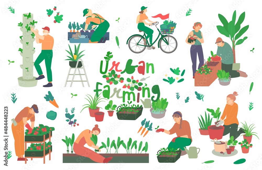 Urban farming, gardening. Flat characters. Editable vector illustration ...