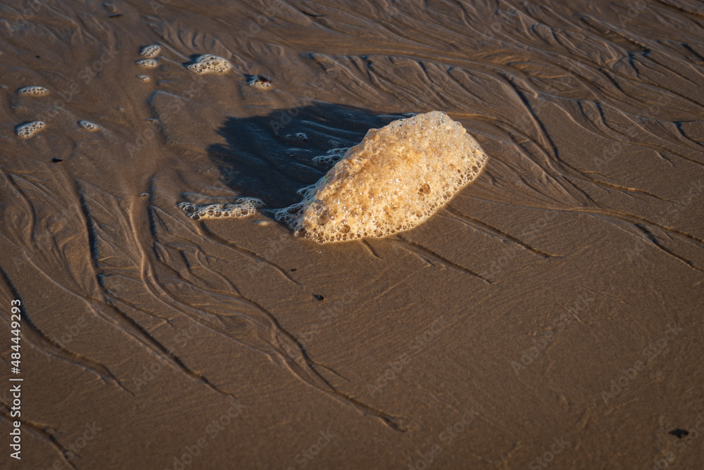 Ocean foam known as bloom of microscopic algae on a wet sand at ...