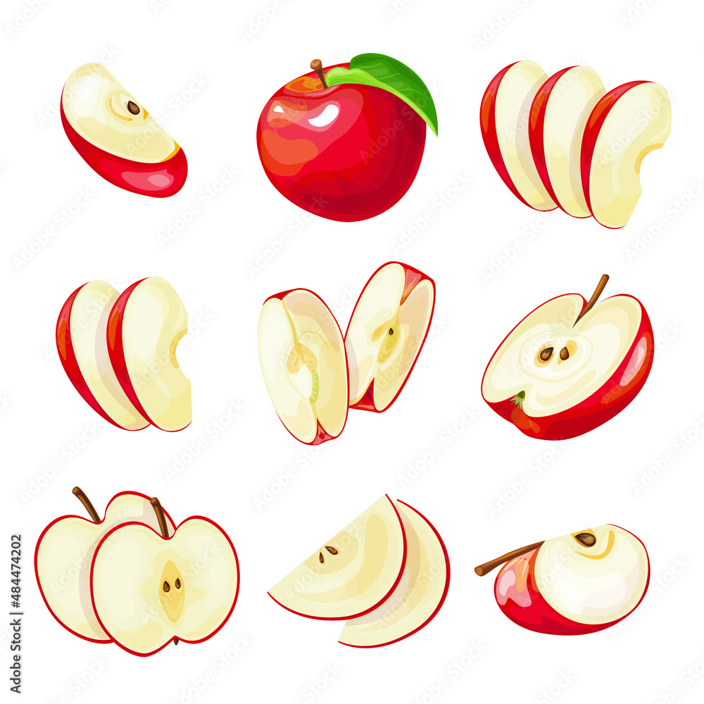 Vector set of red apples. Whole apple, half, quarter apple, and sliced ...