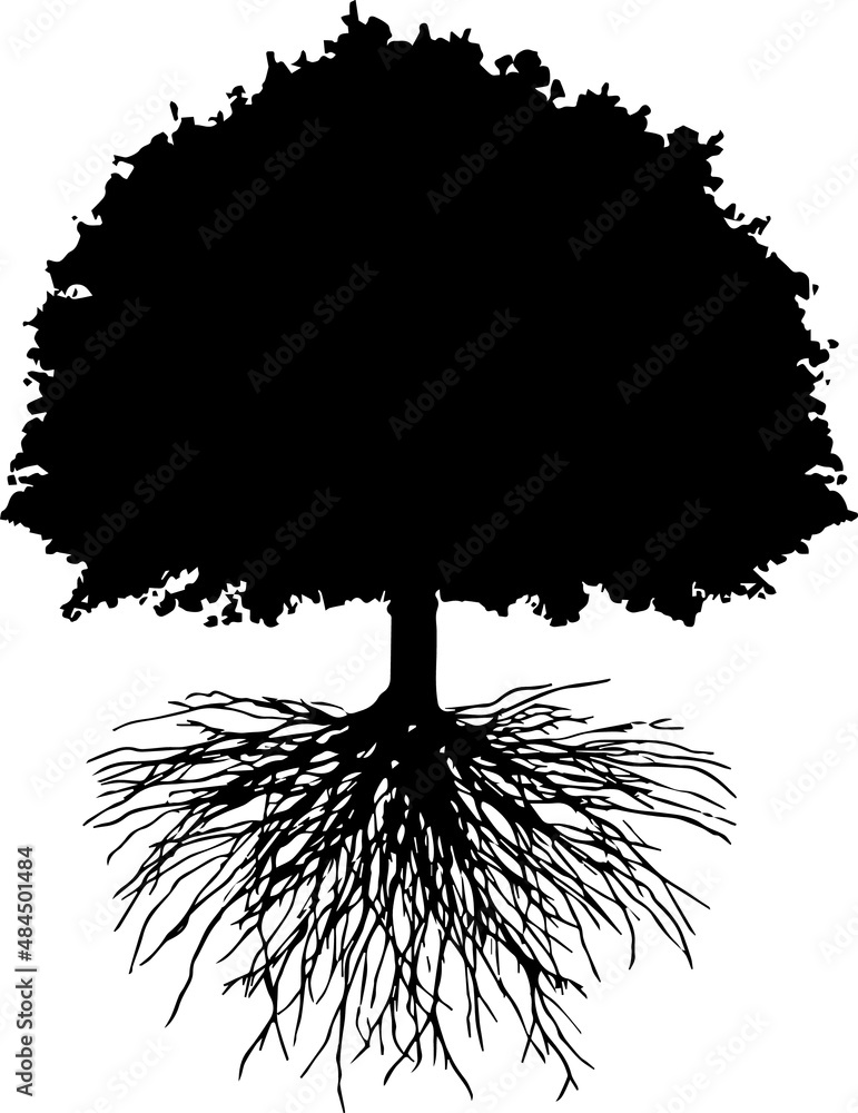 Tree With Roots Silhouettes Tree With Roots SVG EPS PNG Stock Vector ...