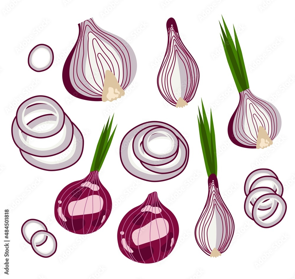 Red onion set with half, slice and onion ringsang green strokes. Stock ...