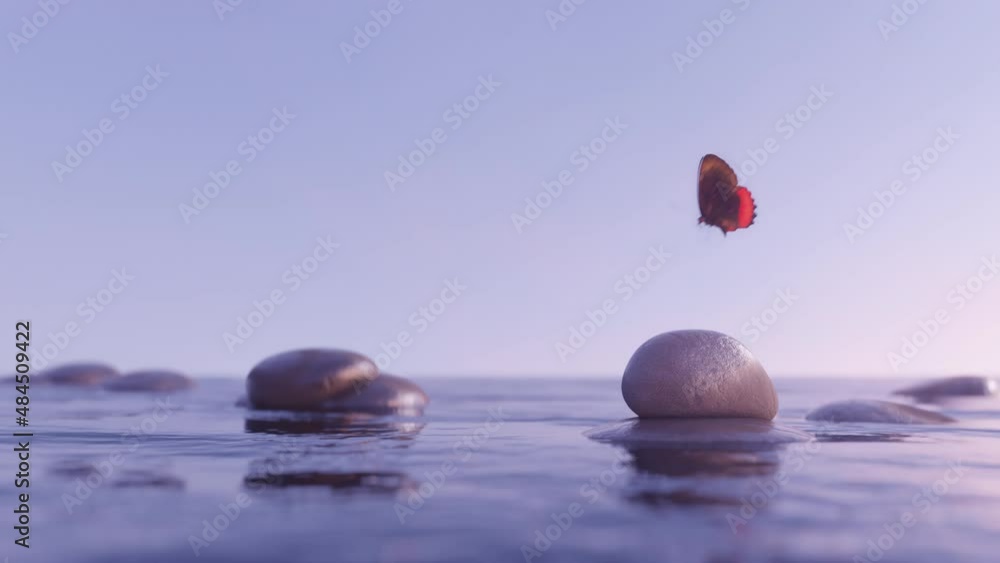 Butterfly Fly Effect over Balance Stone Water. A seamless loop ...